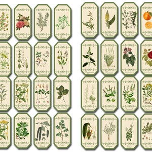 100 APOTHECARY LABELS Printable Witchcraft Tags, Spice Botanical Labels ...