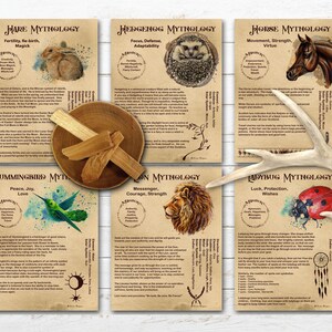 ANIMAL MYTHOLOGY BUNDLE, Spirit Companions Guides, Mythology and Magic ...