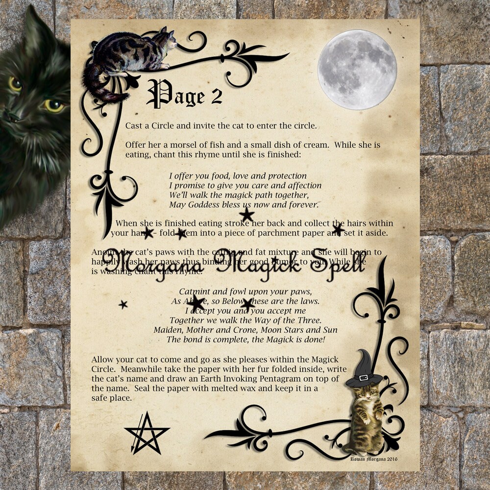 CAT FAMILIAR SPELL Complete Spell for a Cat Familiar | Etsy