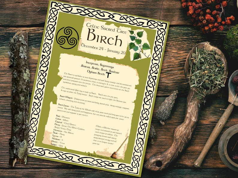 Celtic Tree Calendar: Druid Tree Months Spellbook Pages (PDF) - Etsy Canada