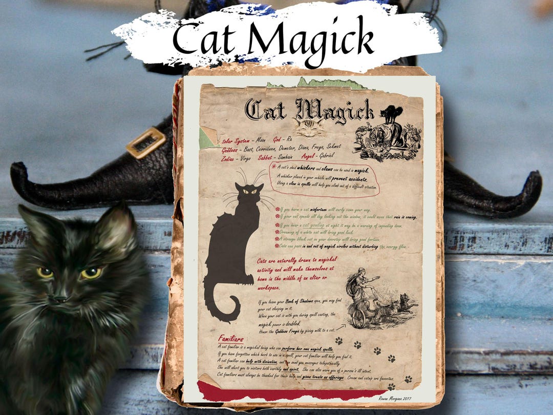 Cat Magic: Spells, Rituals, and Feline Energy in Witchcraft, Printable ...