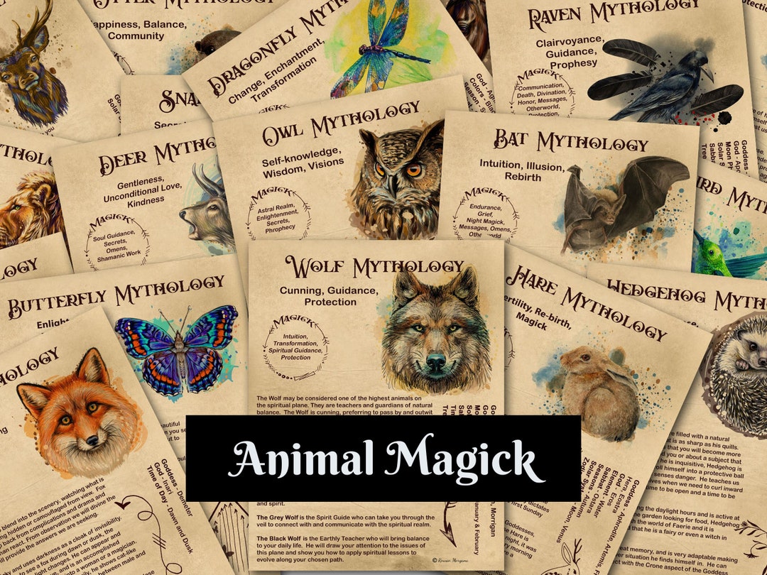 ANIMAL MAGIC BUNDLE, Spirit Companions Guides, Mythology and Magic of ...