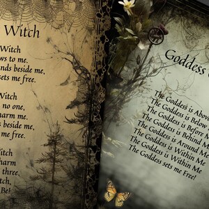 Forest Spirit Spellbook Pages: Enchanted Woodland Chants (PDF Download ...