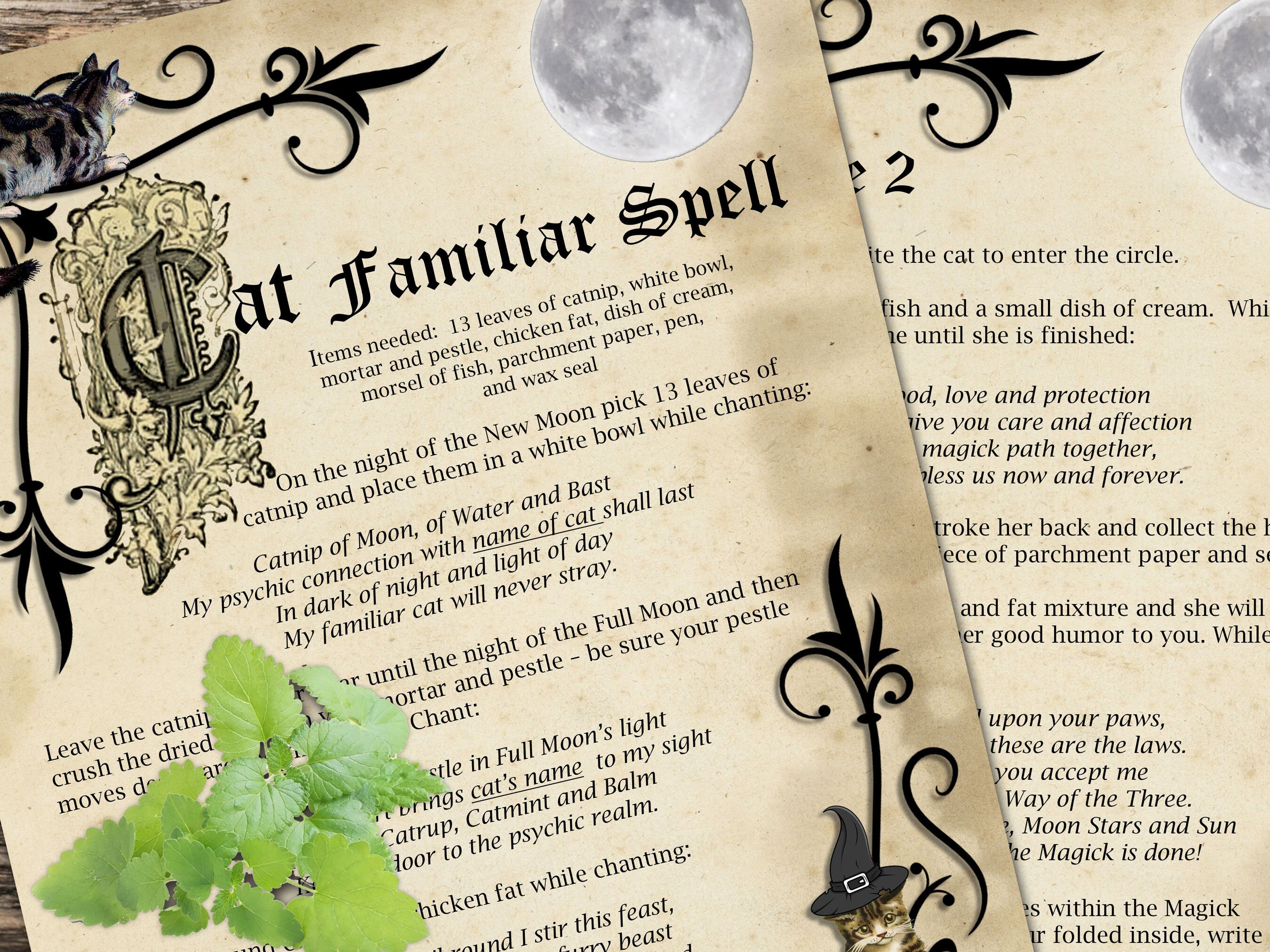 CAT FAMILIAR SPELL 2 Pages Get a Cat Familiar Witchcraft - Etsy Australia