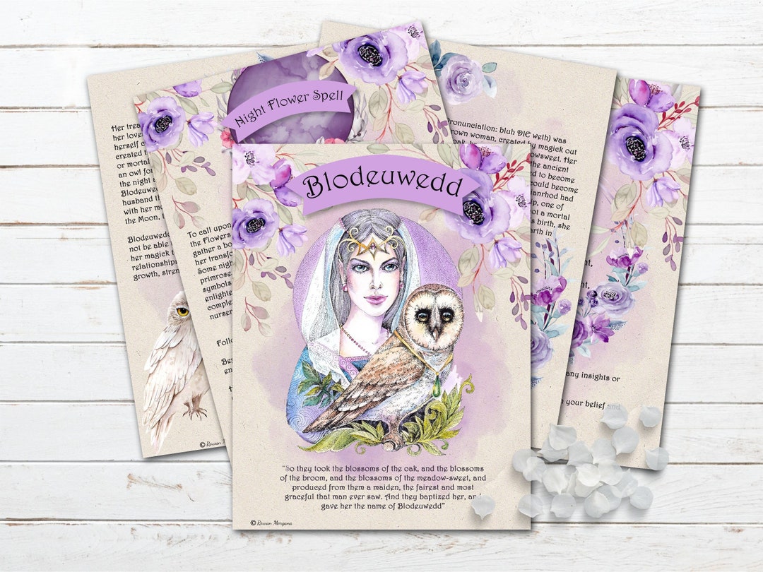 BLODEUWEDD'S JOURNEY, an Illustrated Narrative of Transformation and ...