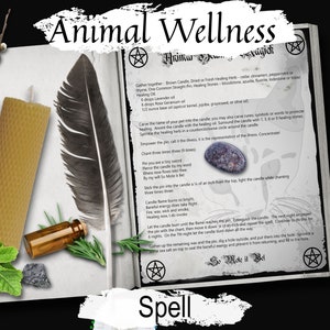 ANIMAL MAGIC, Wellness Spell for Your Pet, Wicca Familiar Spell Ritual ...