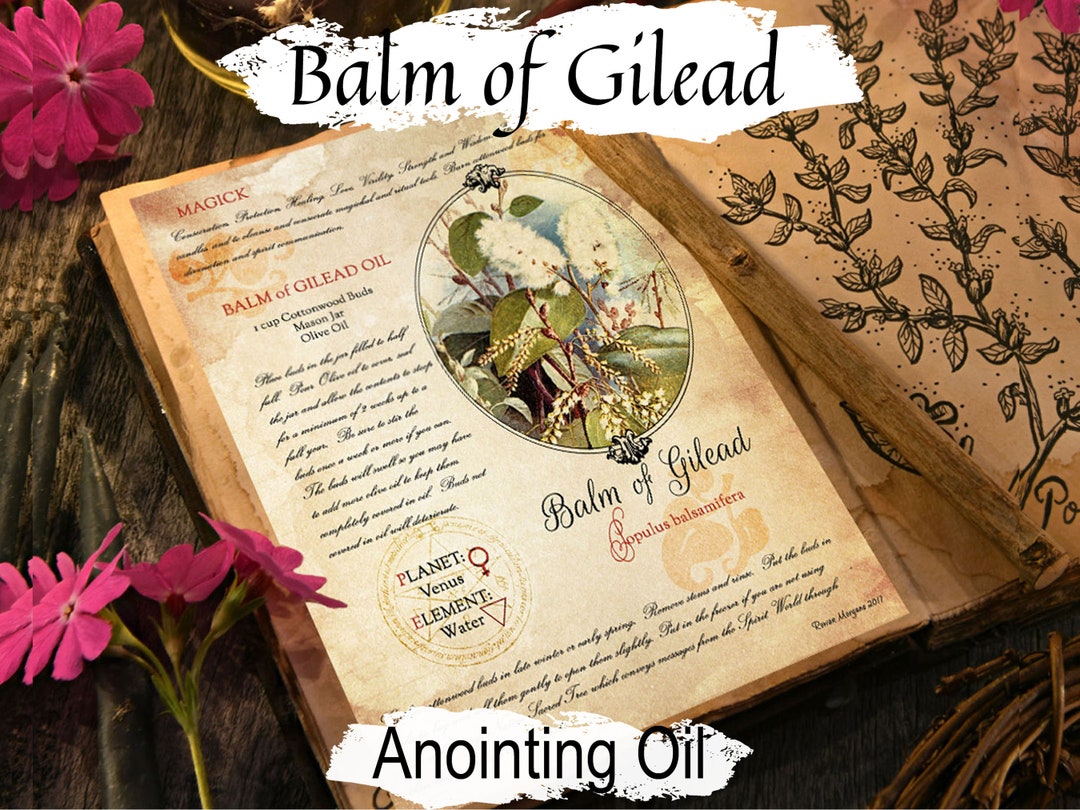 BALM of GILEAD, Printable Recipe and Uses, Balm of Gilead Buds ...