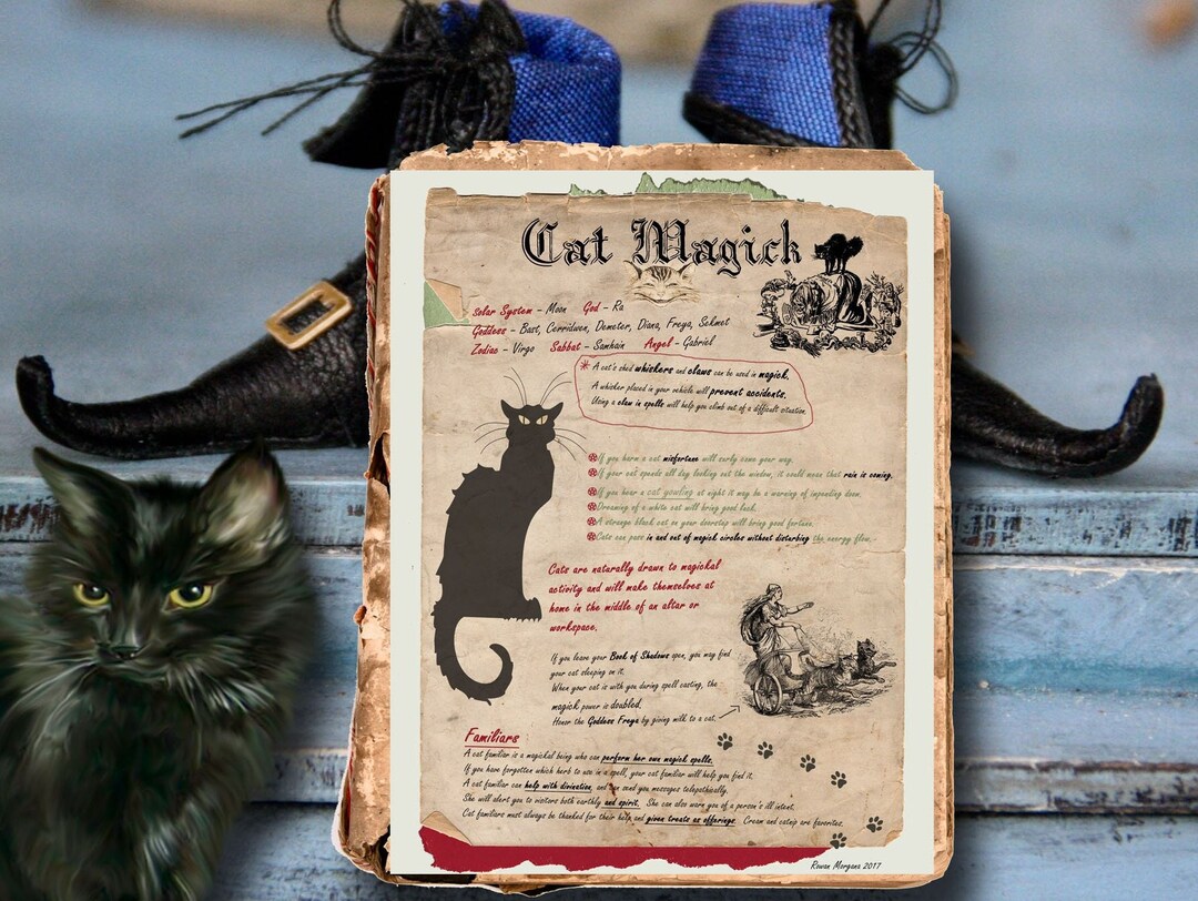 CAT MAGIC, Information Correspondences, Folklore, Spirit Animal Magic ...