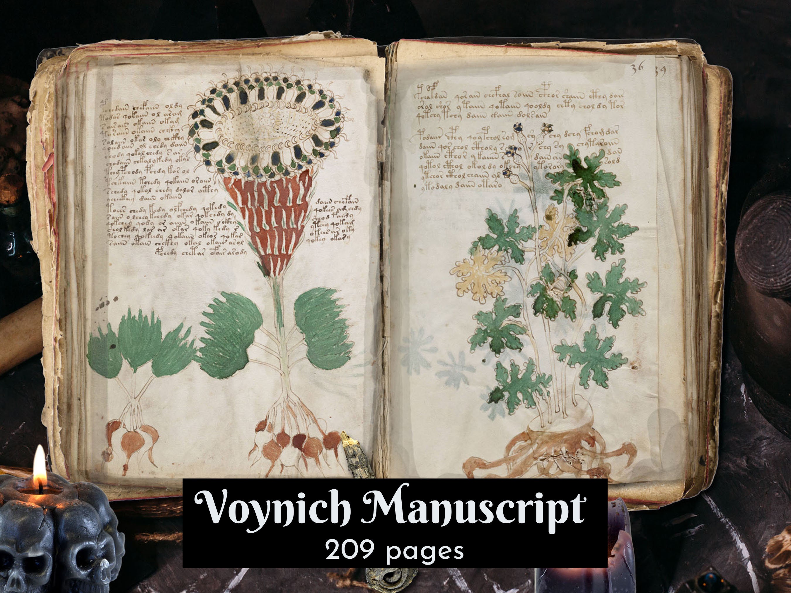 Wilfrid Michael Voynich