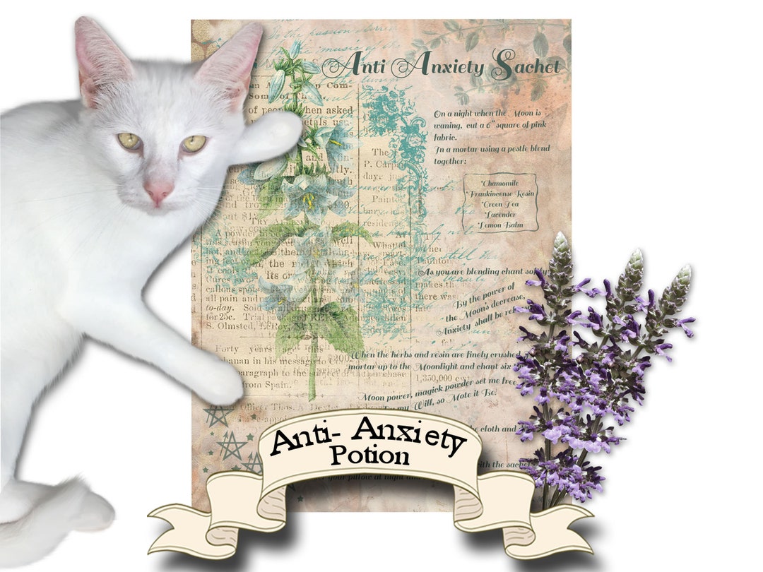 ANTI ANXIETY SACHET, Wicca Witchcraft Recipe and Spell, How to Guide ...