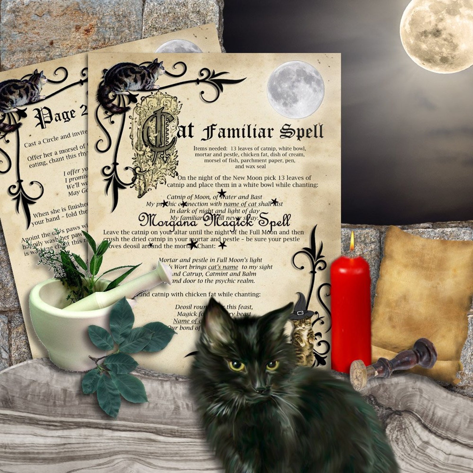 CAT FAMILIAR SPELL Complete Spell for a Cat Familiar | Etsy