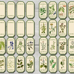 100 APOTHECARY LABELS Printable Witchcraft Tags, Spice Botanical Labels ...