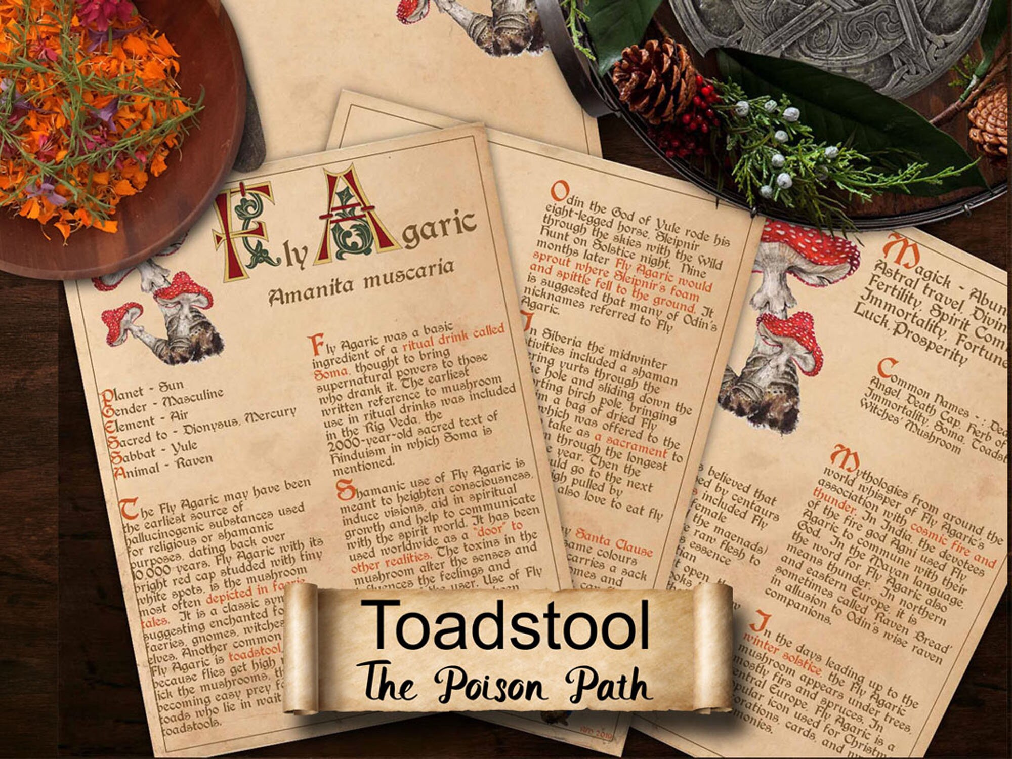 Real Magic Spells To Fly