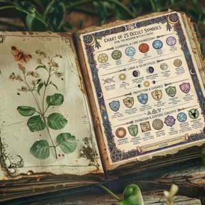 Occult Symbols Infographic: Mystical Witchcraft, Elements, Lunar Cycles ...