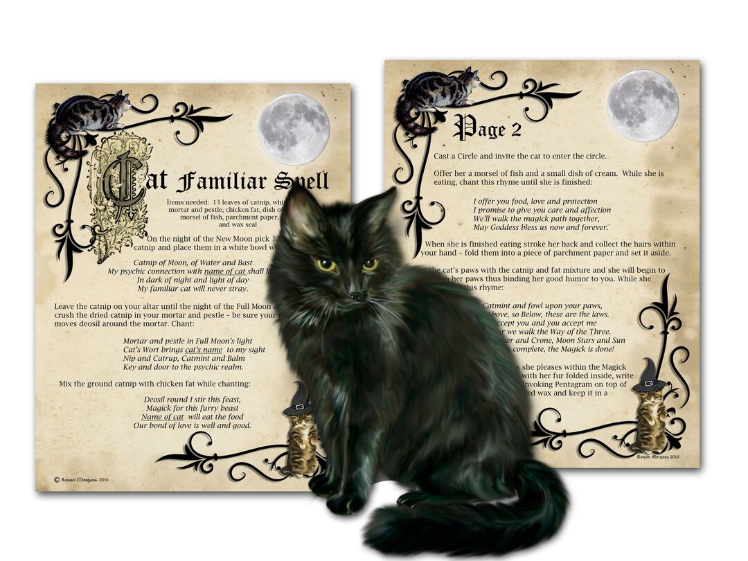 CAT FAMILIAR SPELL 2 Pages Get a Cat Familiar Witchcraft - Etsy Australia