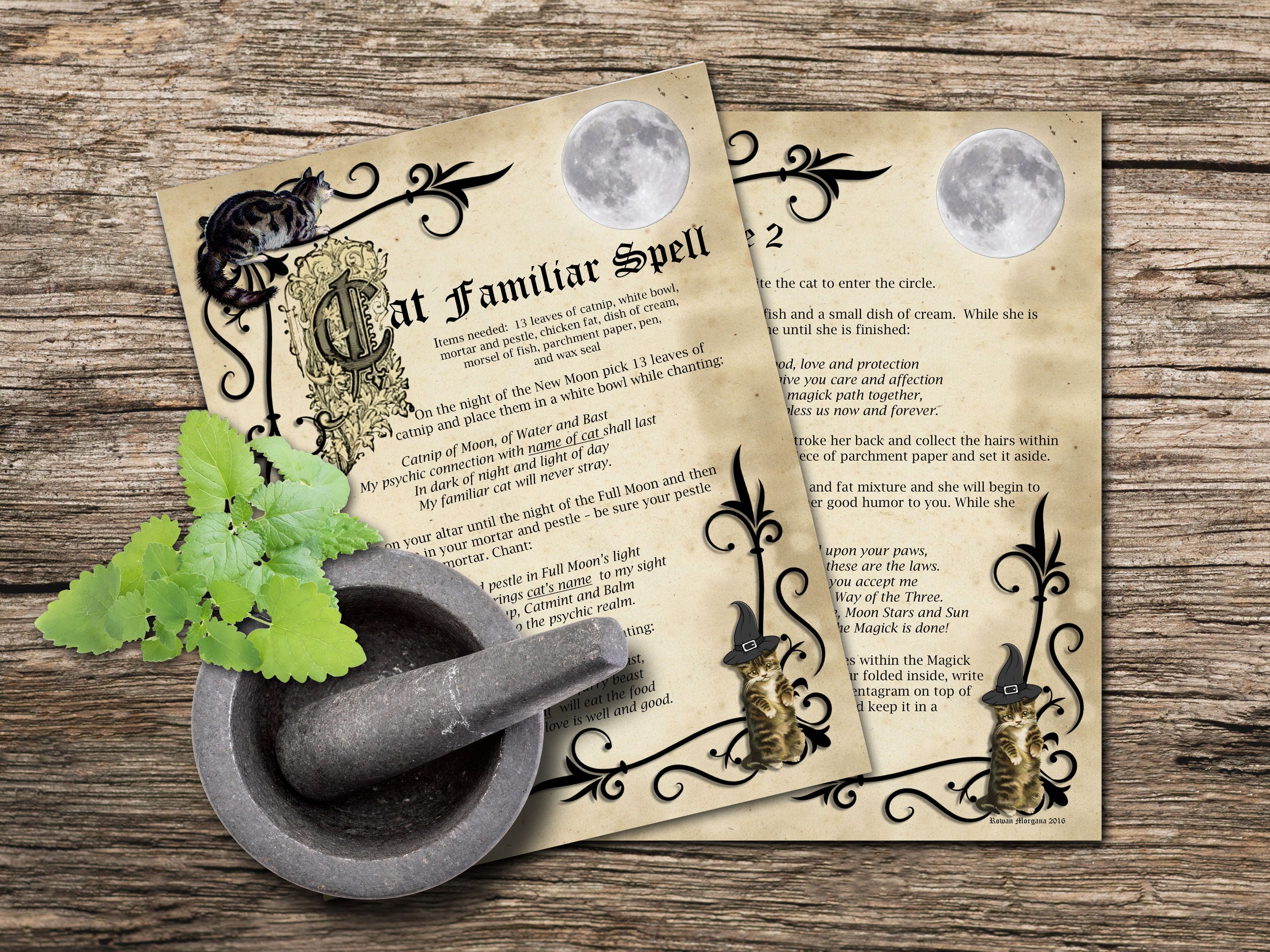 CAT FAMILIAR SPELL 2 Pages Get a Cat Familiar Witchcraft - Etsy Australia