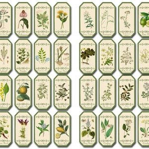 100 APOTHECARY LABELS Printable Witchcraft Tags, Spice Botanical Labels ...
