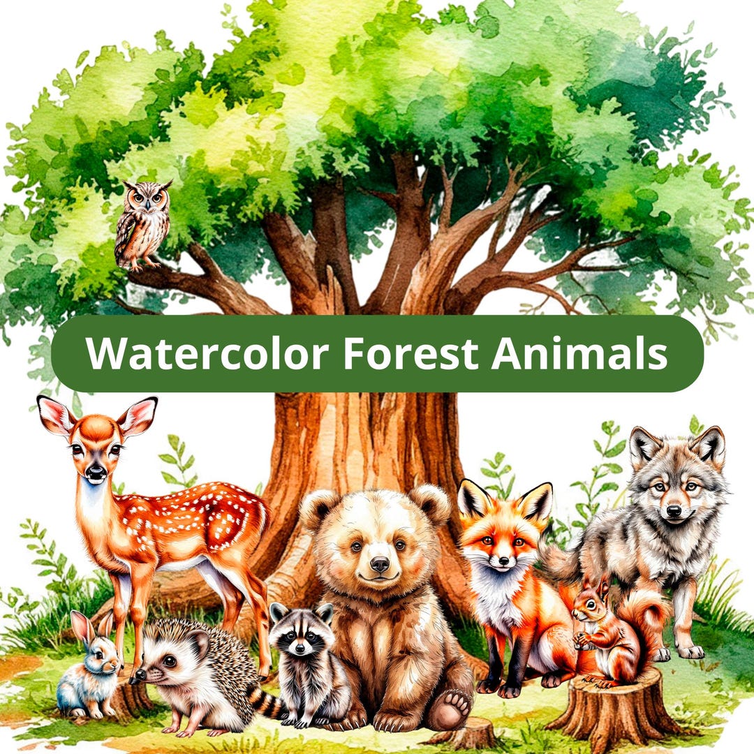 Watercolor Forest Animals Clipart, Woodland Creatures PNG, Cute Fox ...