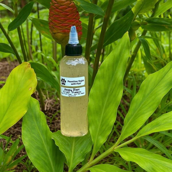 Shampoo With Ginger - Etsy UK