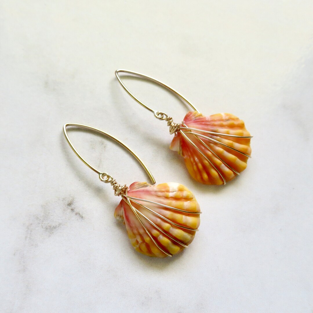 Sunrise Shell Threader Earrings Small Rare Hawaiian Shells - Etsy