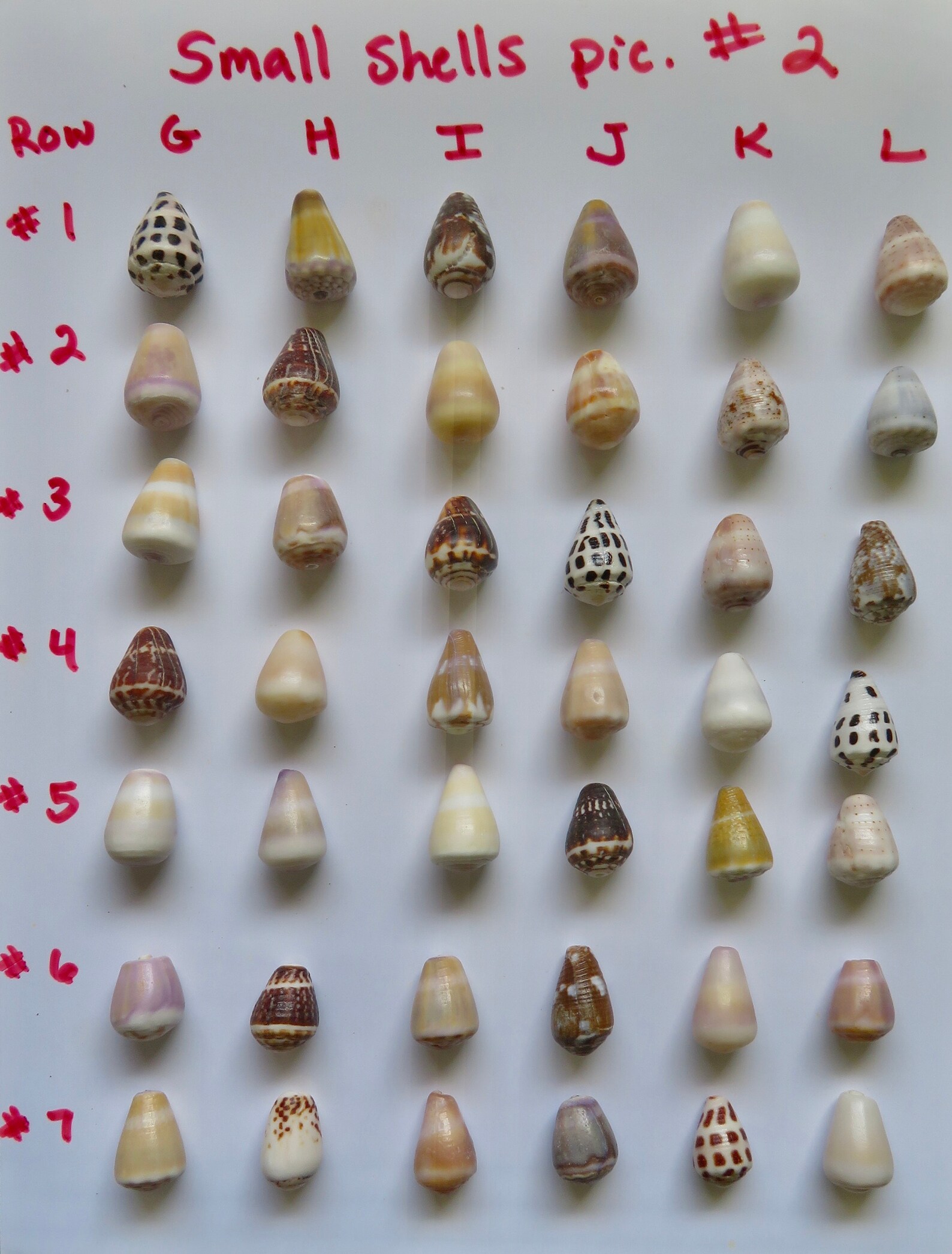 Sterling Silver Bangles 1 Tahitian Pearl 2 Hawaiian Shells | Etsy