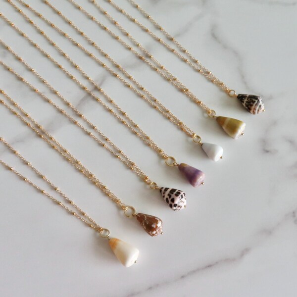Cone Shell Jewelry - Etsy