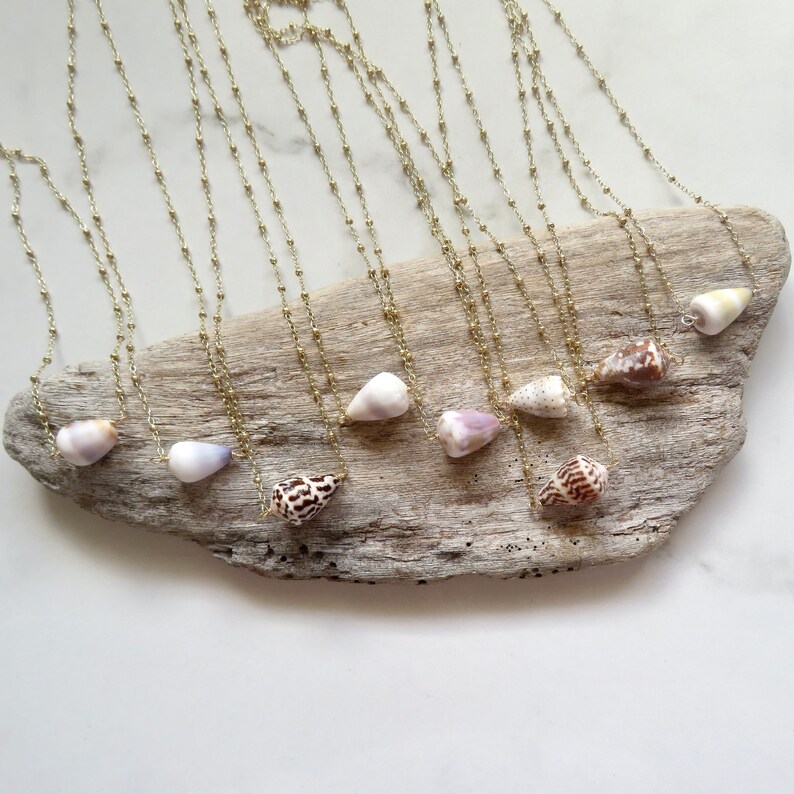 Seashell Choker Necklace Small Hawaiian Cone Shell Gold - Etsy