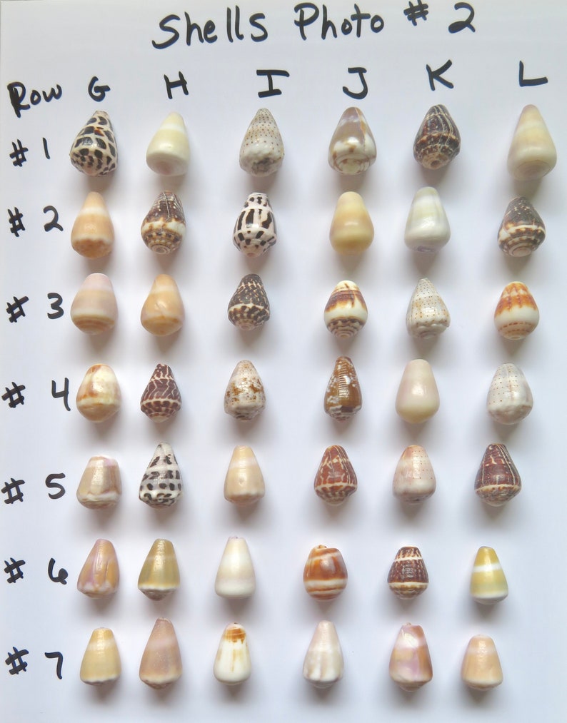 Shell Bangle Sterling Silver Hawaii Beach Jewelry Hawaiian - Etsy