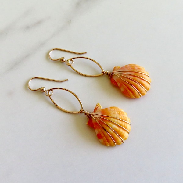 Shell Earrings - Etsy
