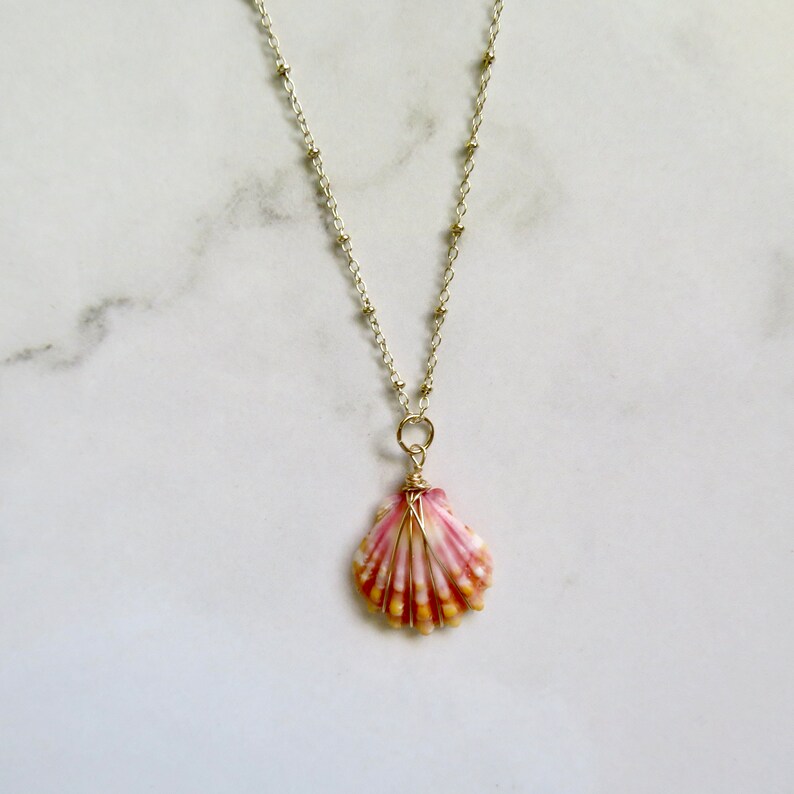 Sunrise Shell Necklace Gold Chain Wire Wrapped Small Orange - Etsy