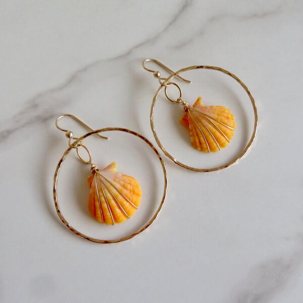 Wire Wrapped Shell - Etsy