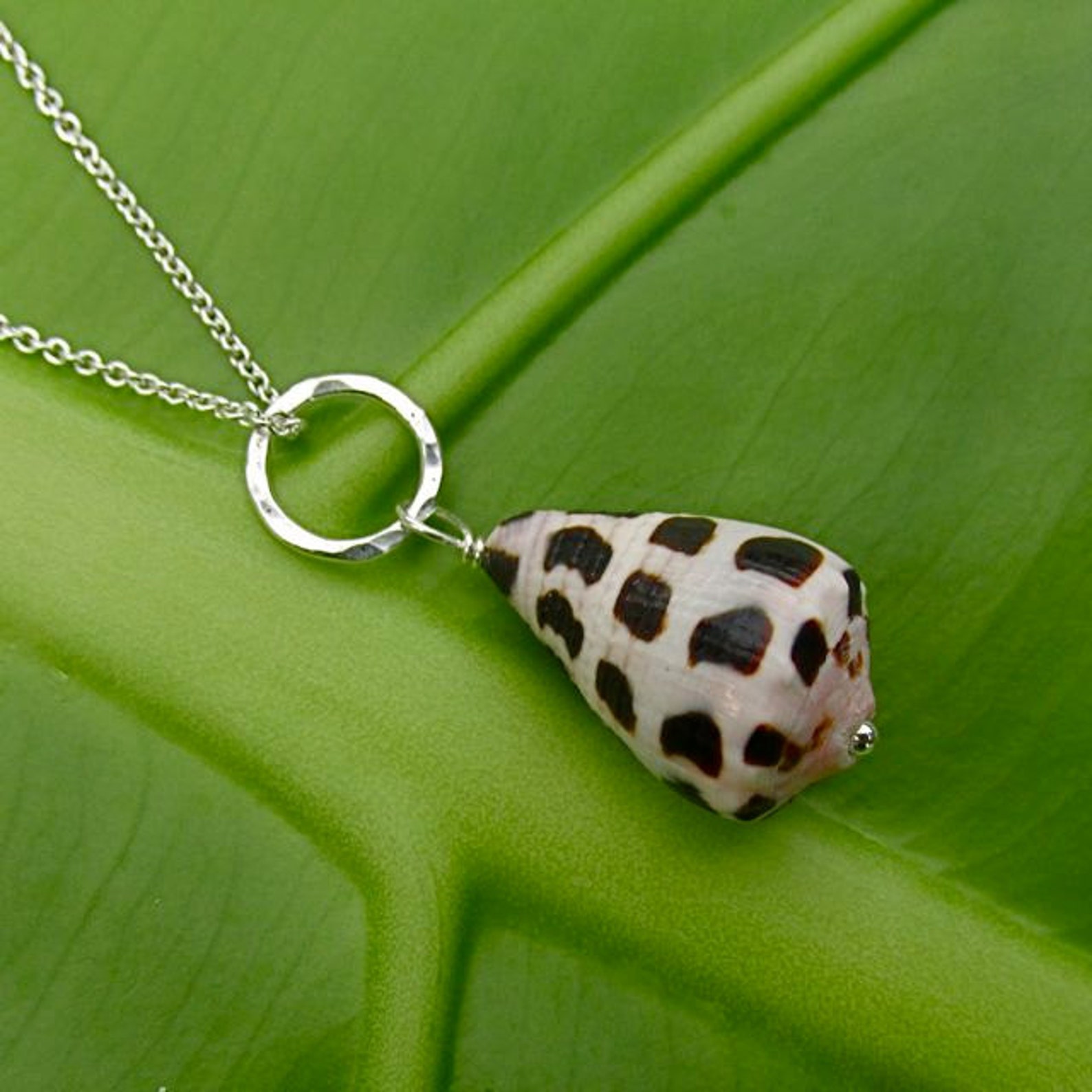 Seashell Necklace Small Hebrew Hawaiian Cone Shell Sterling | Etsy