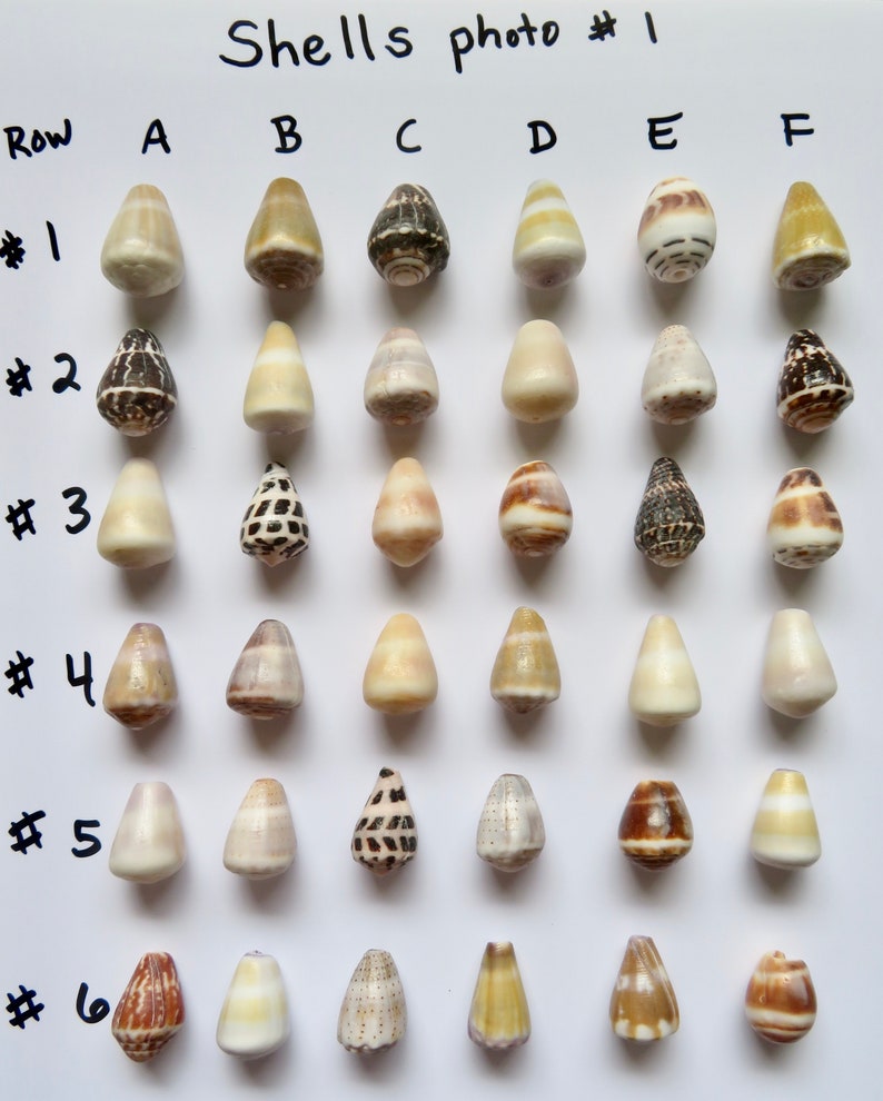 Shell Bangle Sterling Silver Hawaii Beach Jewelry Hawaiian | Etsy