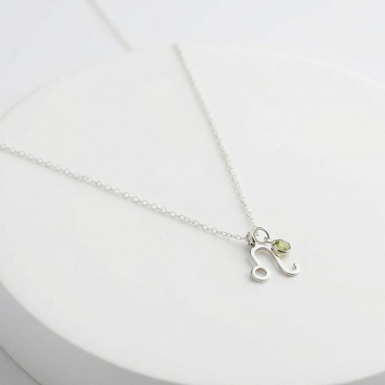 Personalized Zodiac Necklace With Birthstone Astrology Jewelry Custom personalized-zodiac-necklace-with-birthstone-astrology-jewelry-custom