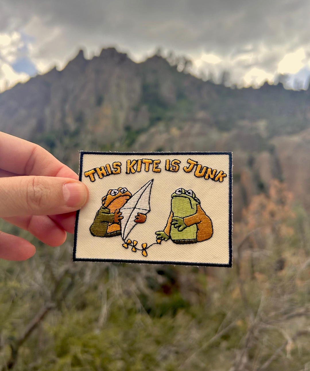 Frog Patch, Toad, This Kite is Junk, Kite Patch, Patches, Sew on ...