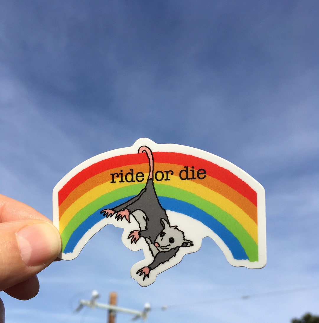 Ride or Die, Possum, Sticker, Rainbow, Water Bottle, , Cute, Possum ...