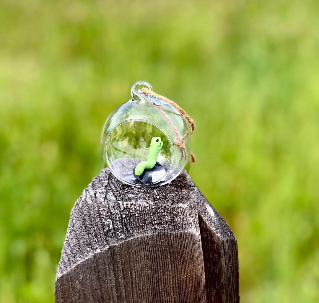 Bookworm Ornament: Handmade Clay Inch Worm in Glass Globe - Etsy