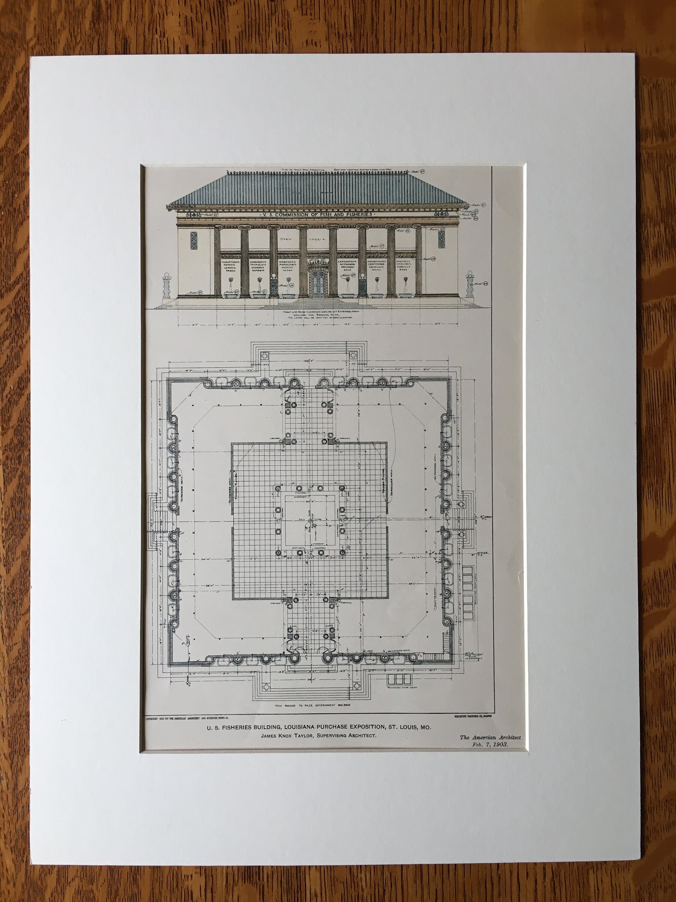 Fisheries Bldg, Louisiana Purchase Expo, St Louis, Missouri, 1903 ...
