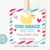 Printable I Am One Lucky Duck to Have a Friend Like You Valentine's Day ...