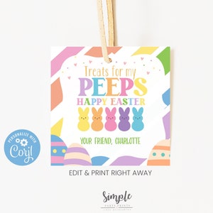 Easter Gift Tags - Personalized Pastel Bunny Labels for Baskets ...
