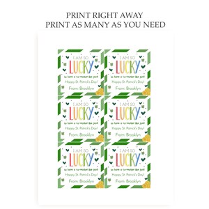 Printable St. Patrick's Day Tag - Editable Lucky Charms Gift Tags ...