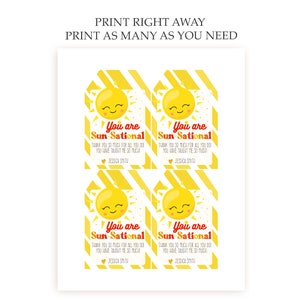Teacher Appreciation Printable Tag, Printable Thank You for Being Sun ...