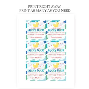 Printable Lucky Duck Valentine's Day Tags, Classroom Exchange Cards for ...