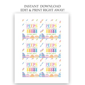 Easter Gift Tags - Personalized Pastel Bunny Labels for Baskets ...