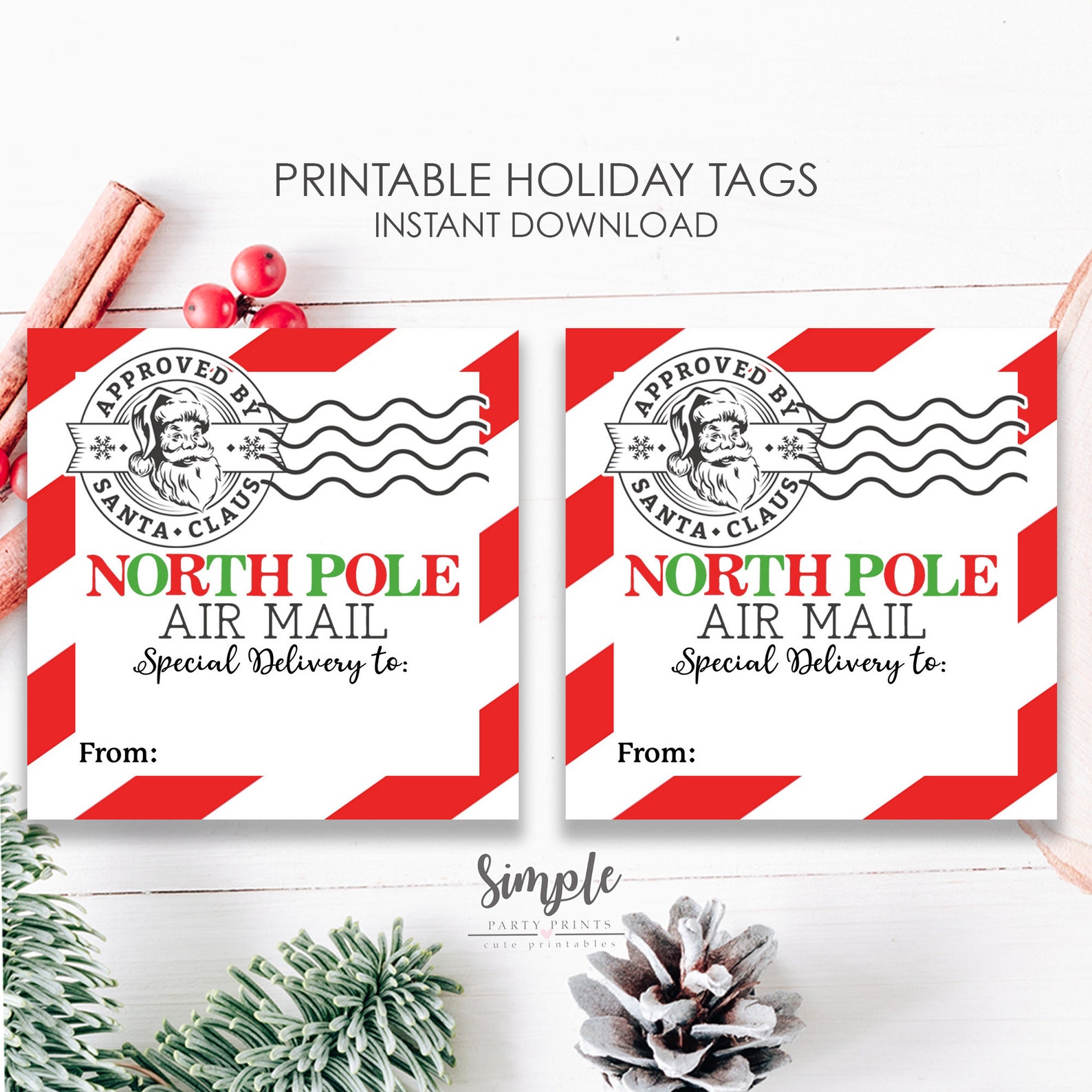 Printable Special Delivery Santa Labels for Holiday Gifts - Etsy