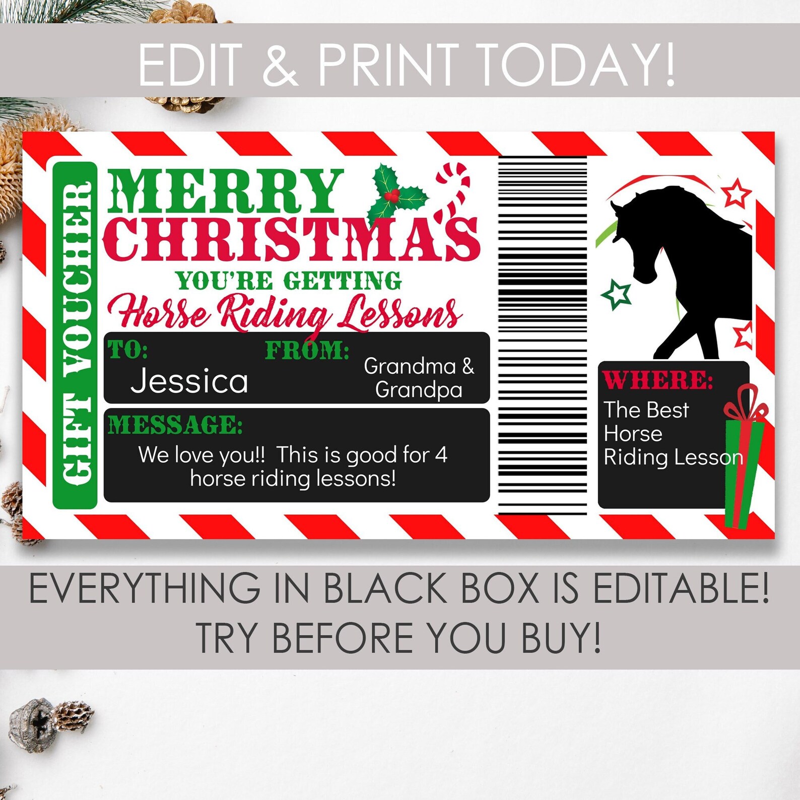 Printable Horse Riding Lessons Template Surprise Gift | Etsy