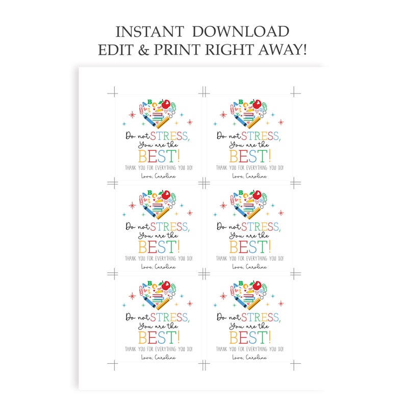 Printable Teacher Appreciation Tag - Editable Thank You Teachers Aide ...