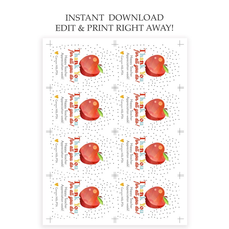 Printable Teacher Appreciation Tag - Editable Thank You Teachers Aide ...