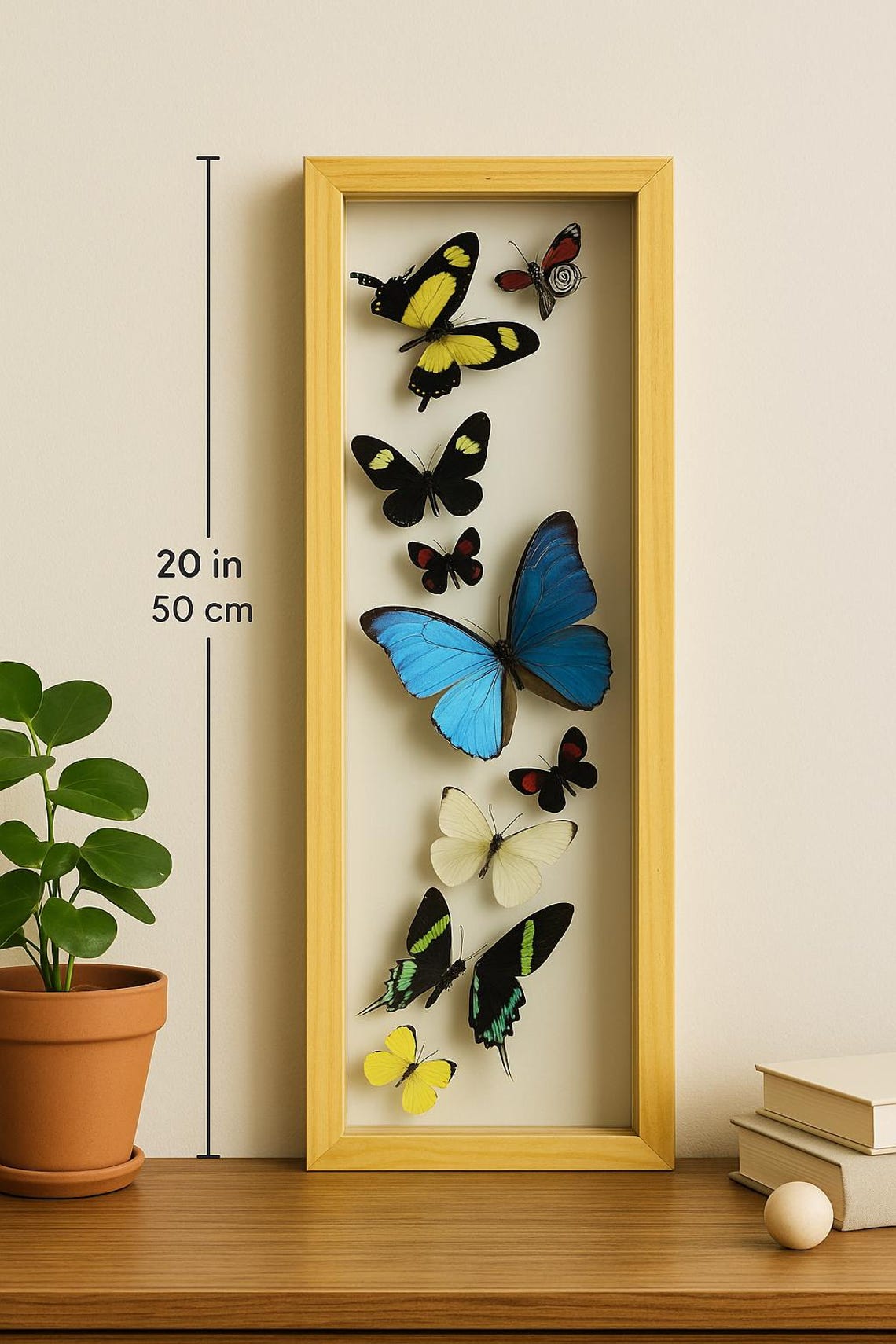 Real Butterflies Framed in Double Glass Visual Poetry - Etsy
