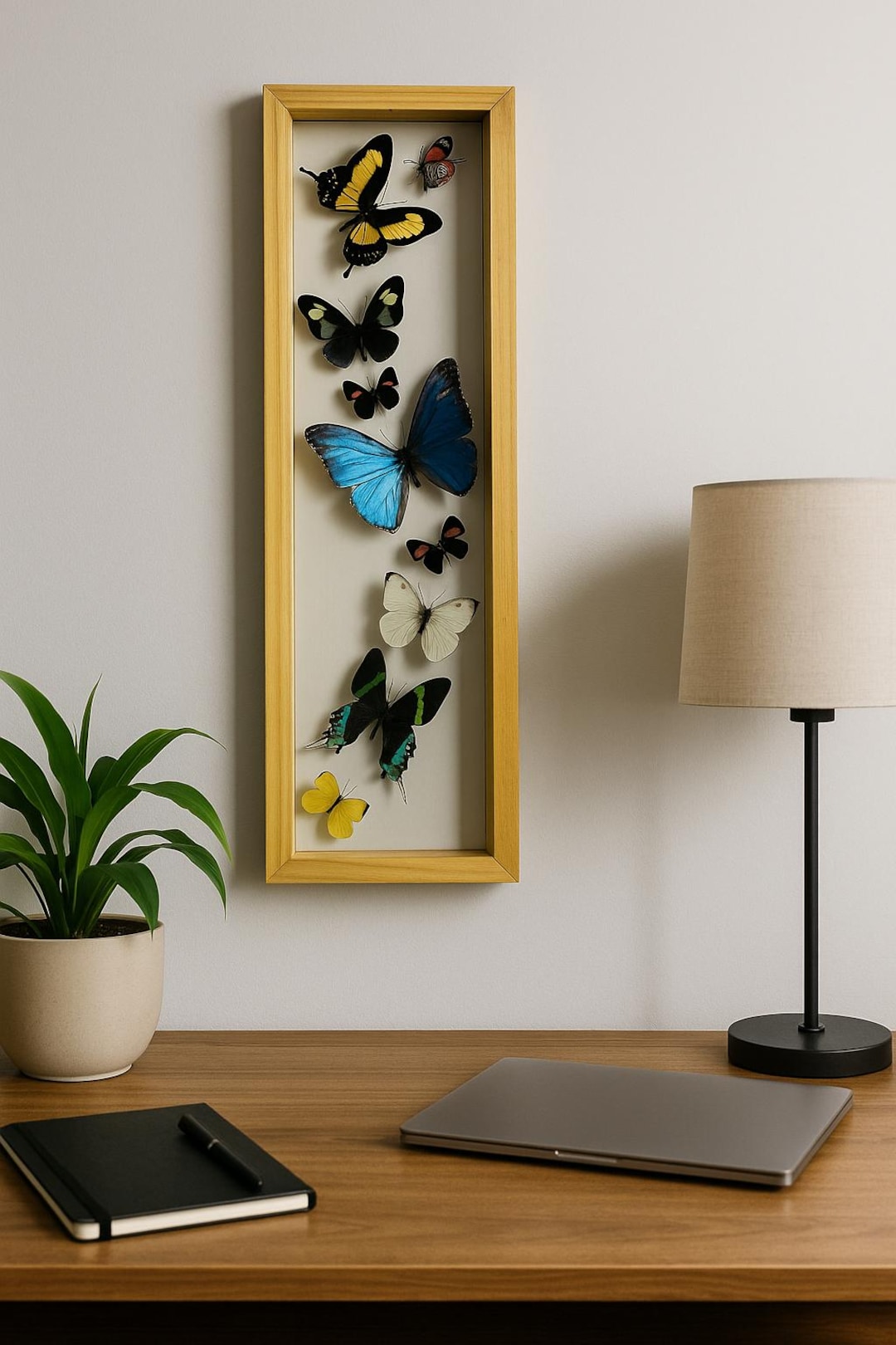 Real Butterflies Framed in Double Glass Including Blue Morpho Butterfly ...